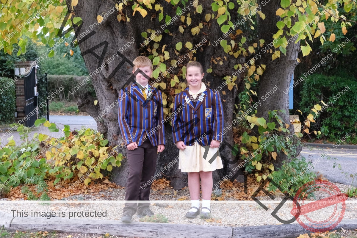Gallery – Ursuline Prep School