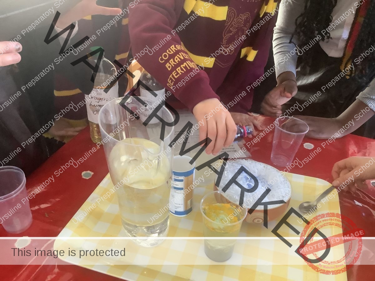 Harry Potter Day – Upper 2 – Ursuline Prep School