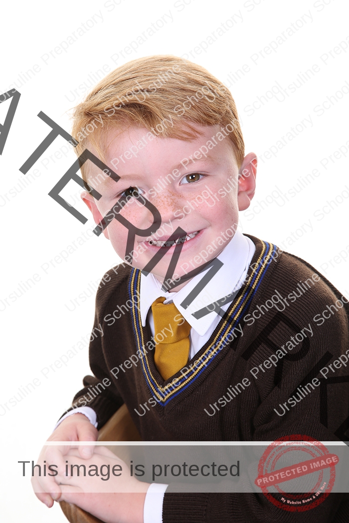 Pupil Voice – Ursuline Prep School